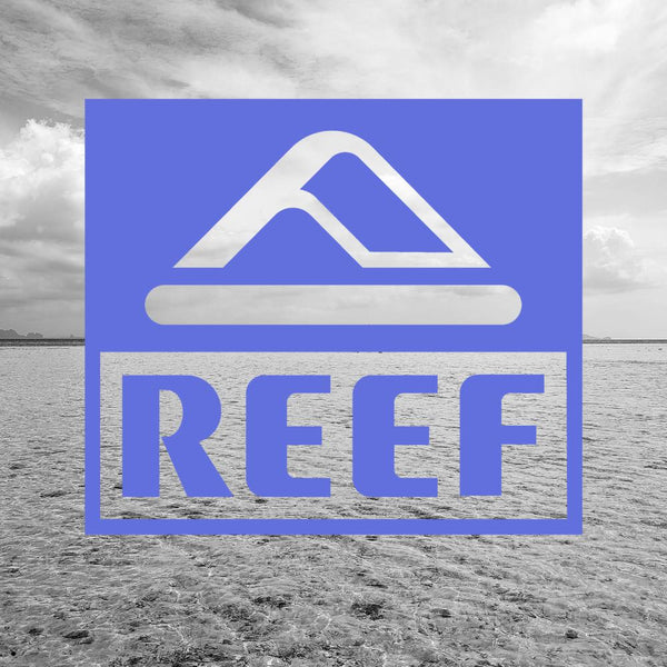 Reef | Shop Online or Instore | Beachin Surf